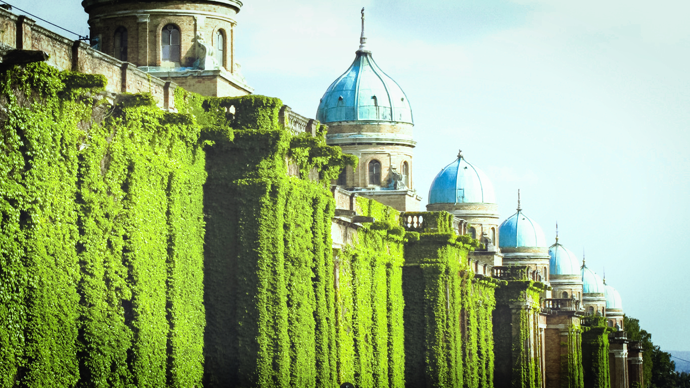 Mirogoj cemetery and sightseeing tour